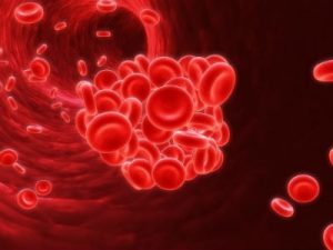 CHCM: Que es, Como se Mide y Valores Normales - AEDN.es