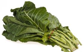 Berza. Tipos, Propiedades y Beneficios de este Superalimento - AEDN