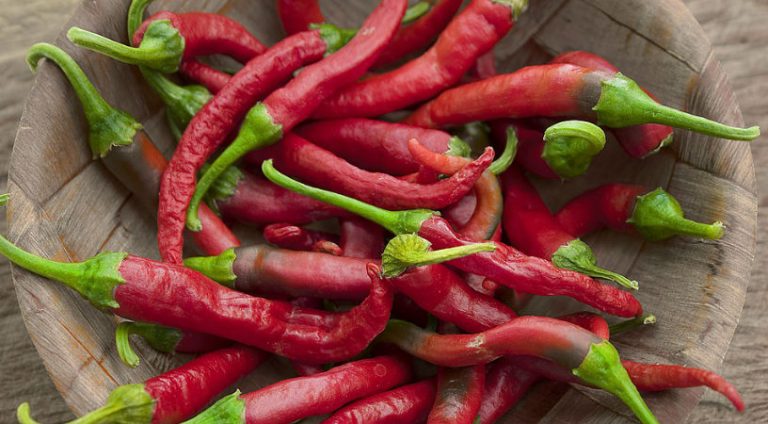 Conoce Todos los Beneficios de la Guindilla - AEDN